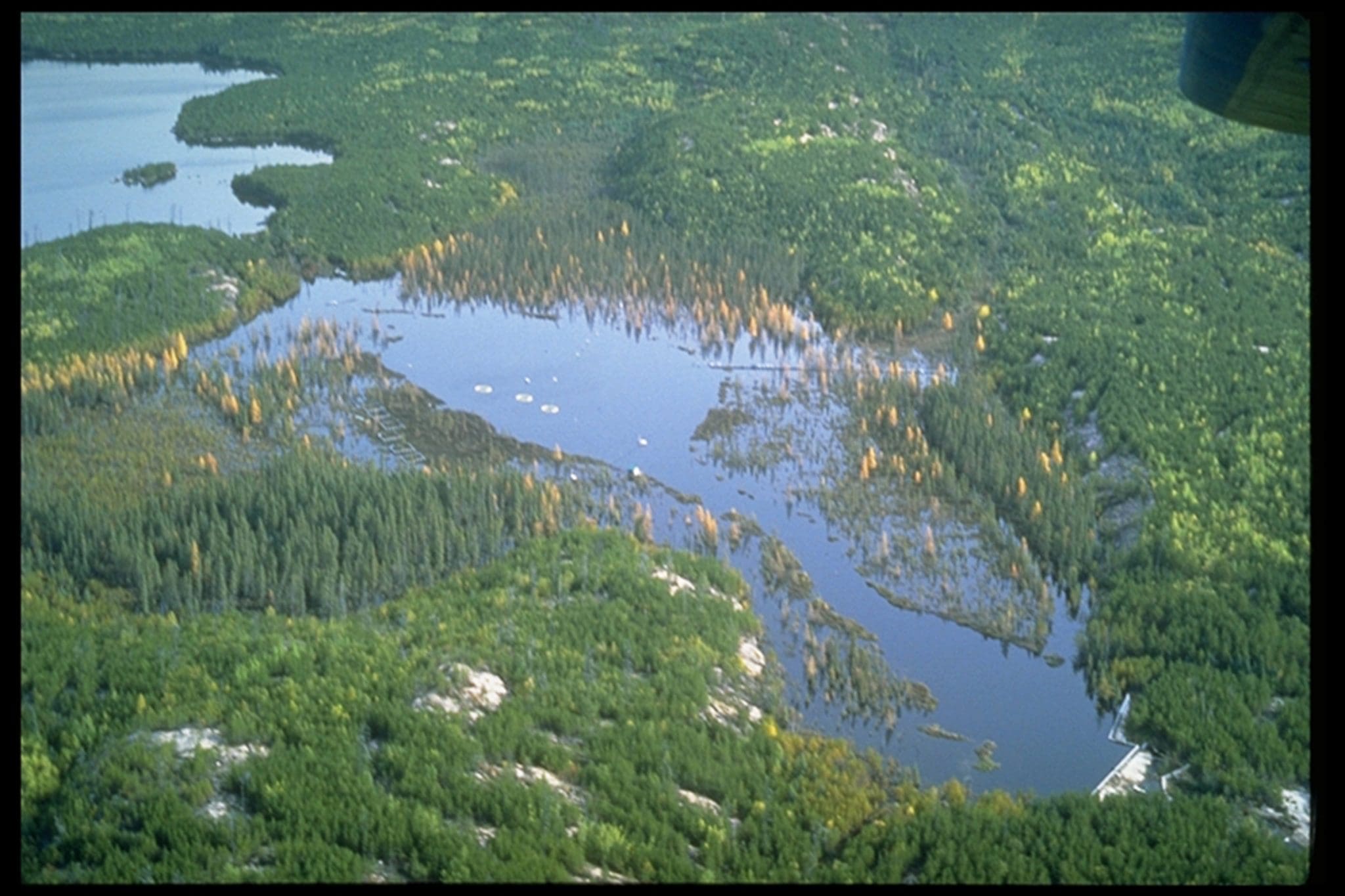 About IISD Experimental Lakes Area in Ontario | IISD-ELA