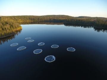 About IISD Experimental Lakes Area in Ontario | IISD-ELA